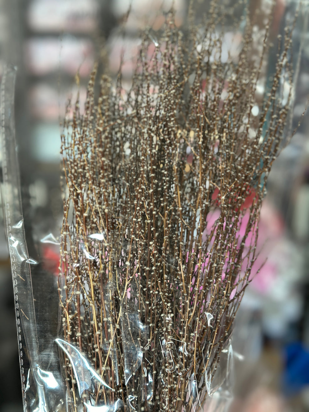 Preserved Snow Twig – Flowers Talk Sydney